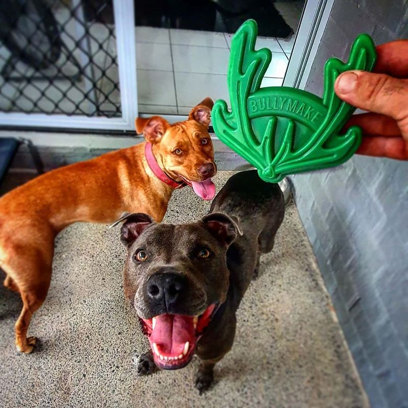 BULLYMAKE Durable Dog Toy Subscription For Power Chewers