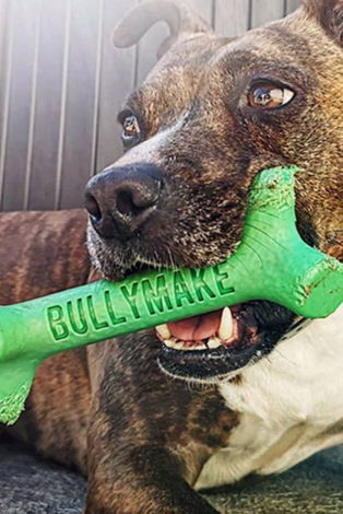 We Tested Best Dog Toy Subscription Boxes