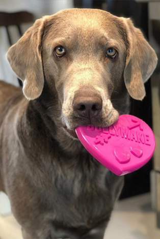 We Tested Best Dog Toy Subscription Boxes